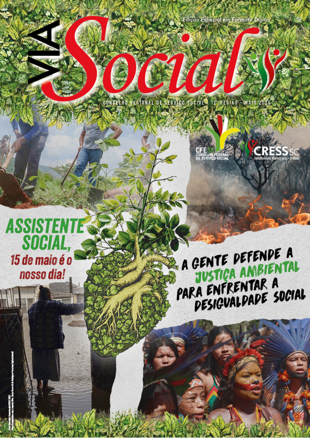 CRESS SC publica a Revista Via Social de maio com o tema do dia da e do ...